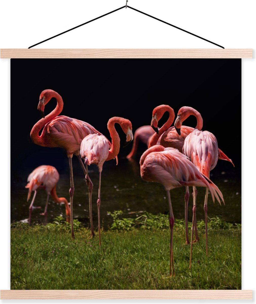 Un groupe de flamants roses en position de sommeil affiche scolaire ...