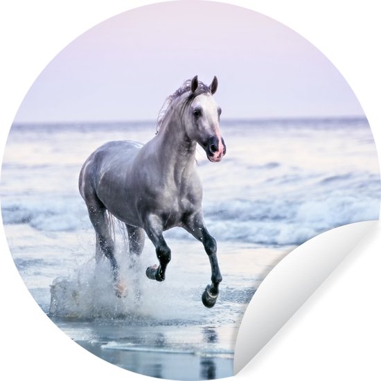 WallCircle - Muurstickers - Behangcirkel - Paard - Schimmel - Strand - ⌀ 30 cm -... | bol