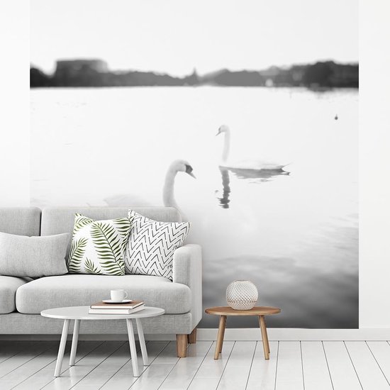 Behang - Fotobehang Twee zwanen zwemmen in het water tijdens een felle ...