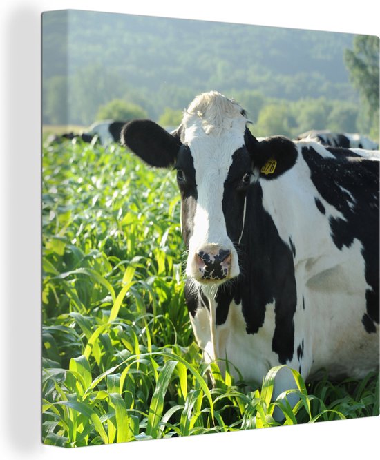 Tableau Peinture Vache - Herbe - Berg - Animaux - 90x90 cm - Décoration ...