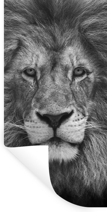 Muurstickers - Sticker Folie - Perzische leeuw op zwarte achtergrond in zwart-wit -... | bol