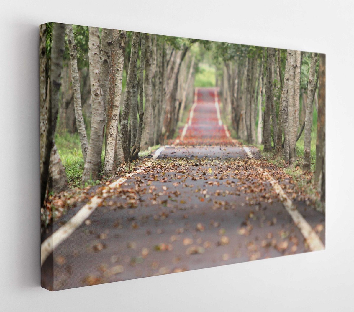 Weg natuur bomen takken - Modern Art Canvas - Horizontaal - 38537 - 50* ...
