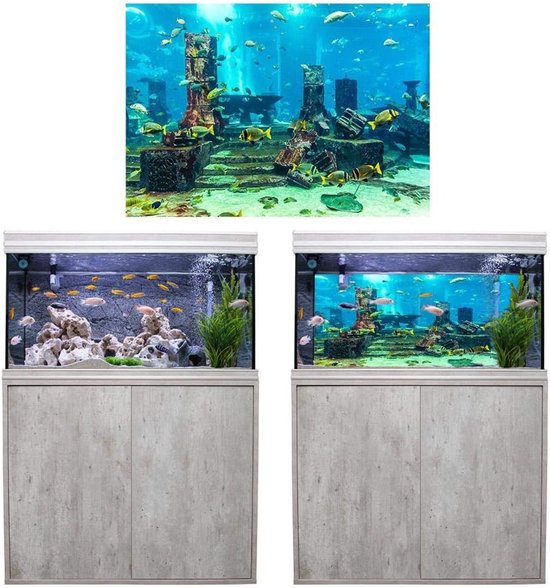 Coral Aquarium Achtergrond Onderwater Poster - Fish Tank Wanddecoratie ...