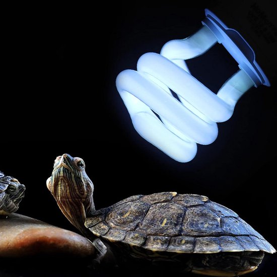 UVB Lamp for Reptile Turtle 13W 220-250V - Compact Terrarium Vivarium ...