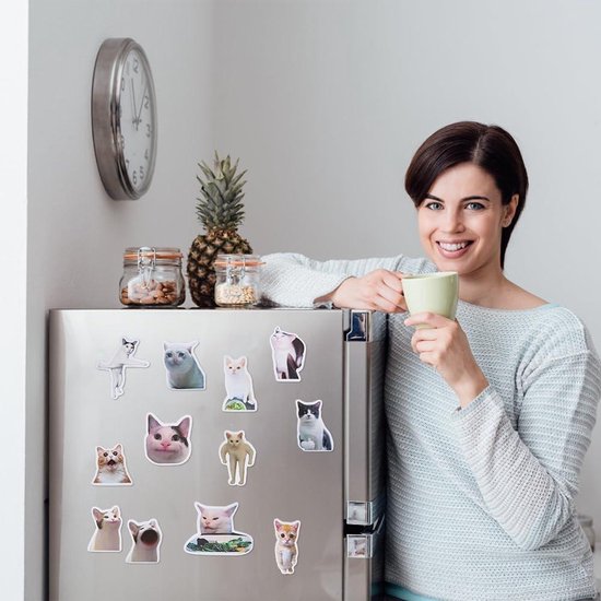 Cat Meme Fridge Magnets - Set van 12 - Grappige Dierenmagneten voor ...
