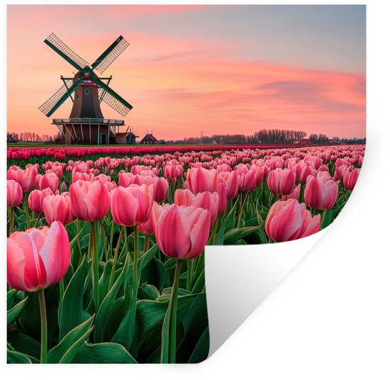 Muurstickers - Sticker Folie - Tulpen - Molen - Nederland - 80x80 cm ...