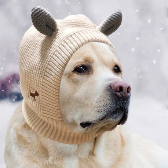 Hondenmuts, Hondencave , Honden sjaal, warme muts en shall voor hond en ...