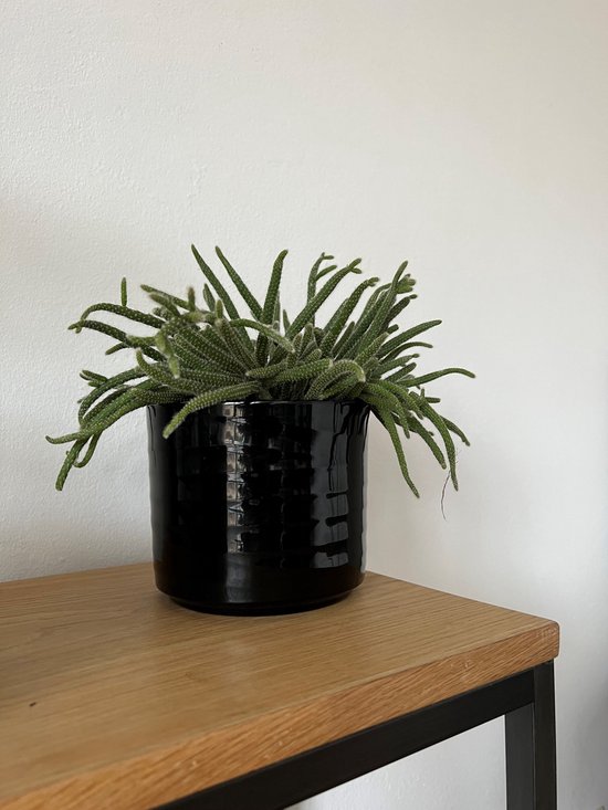 Glanzend Zwarte Pot Berlin 32x27 | bol