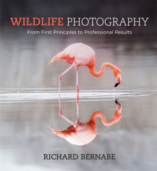 Wildlife Photography, Richard Bernabe | 9781781575123 | Boeken | bol