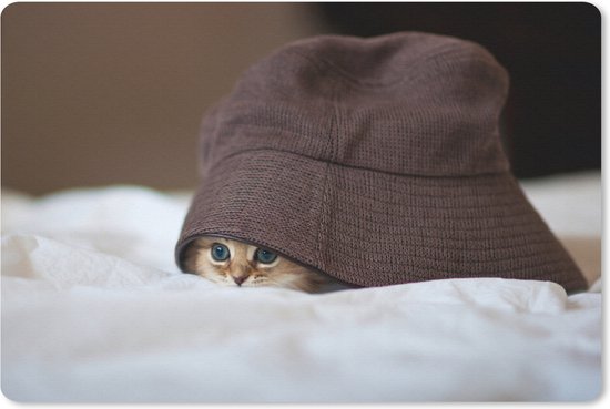 Muismat Close-up Katten - Kat verstopt onder hoed muismat rubber ...