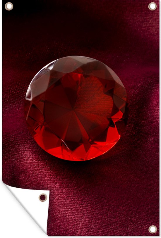 Tuindecoratie Robijn op een rood kleed - 40x60 cm - Tuinposter ...