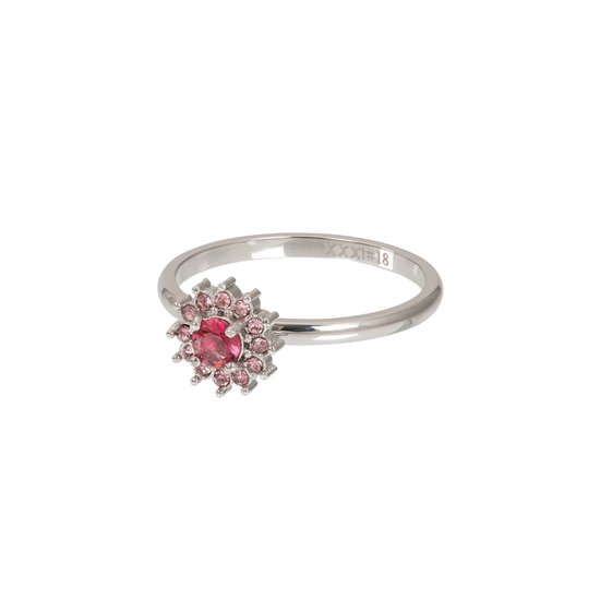 Fame-Lucia Small Fuchsia-Zilverkleurig-Dames-Ring-18mm | bol