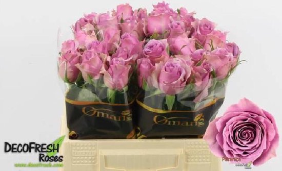 DutchFlowers - Boeket - 10x Rosa paranita 40cm | bol