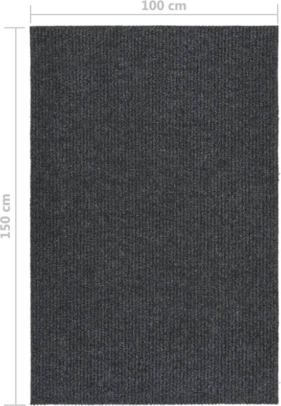 Droogloopmat 100x150 cm antracietkleurig voor entree en doorgangsruimte ...
