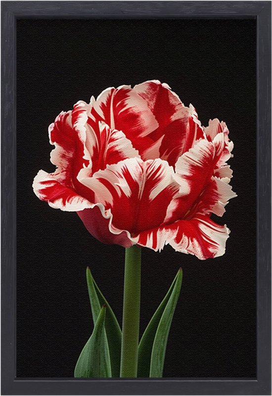 Tulip wanddecoratie - Bloem wanddecoratie - Schilderijen canvas ...