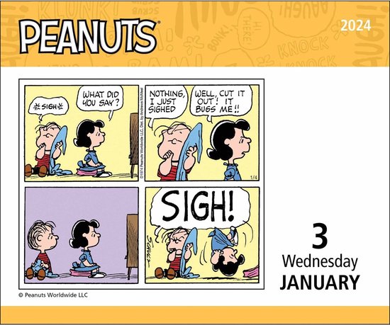 Peanuts Kalender 2024 Boxed | bol