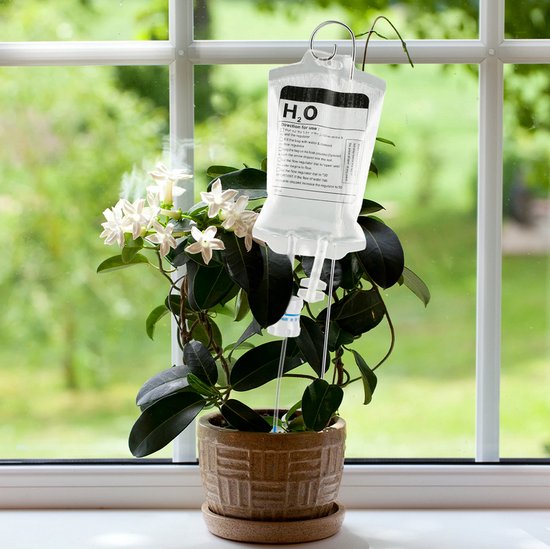 Plant Infuus H2o - SET van 4 stuks - Plant bewateringssysteem - Handig ...
