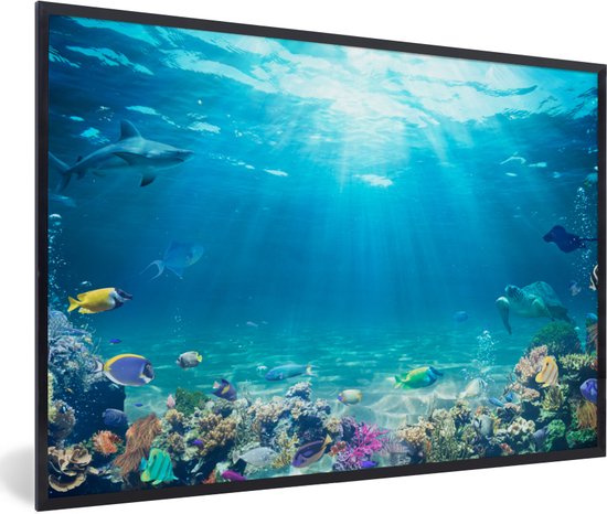PosterMonkey - Poster - Poster in lijst - Fotolijst - Vissen ...