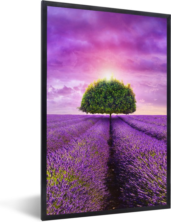 Poster - Fotolijst - Lavendel - Boom - Zon - Bloemen - Paars - 20x30 cm ...