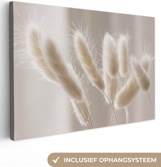 Canvas schilderij 140x90 cm - Wanddecoratie Pampasgras - Pluim - Wit - Muurdecoratie... | bol