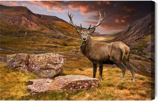 Schilderijkoning - Canvas Schilderij Herten In De Bergen - 120 x 80 cm | bol.com