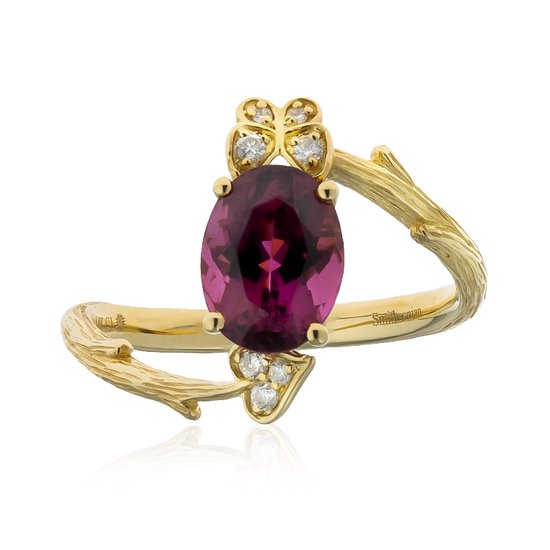 Gouden ring met een Congo Neon Toermalijn (Smithsonian) | bol