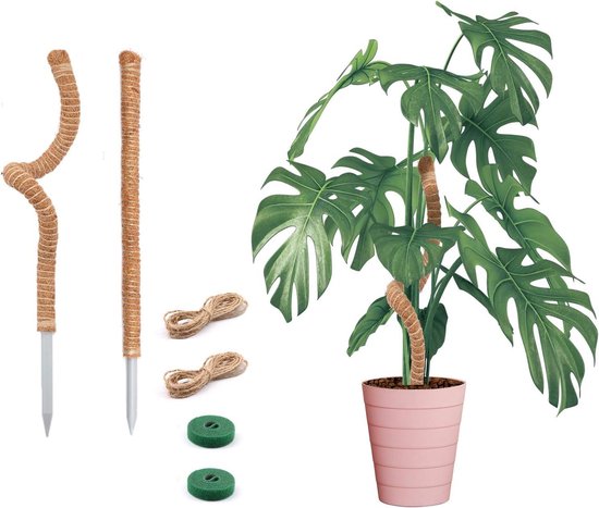 Buigbare mosstok Monstera plantenharingen - Ingemaakte klimplanten ...