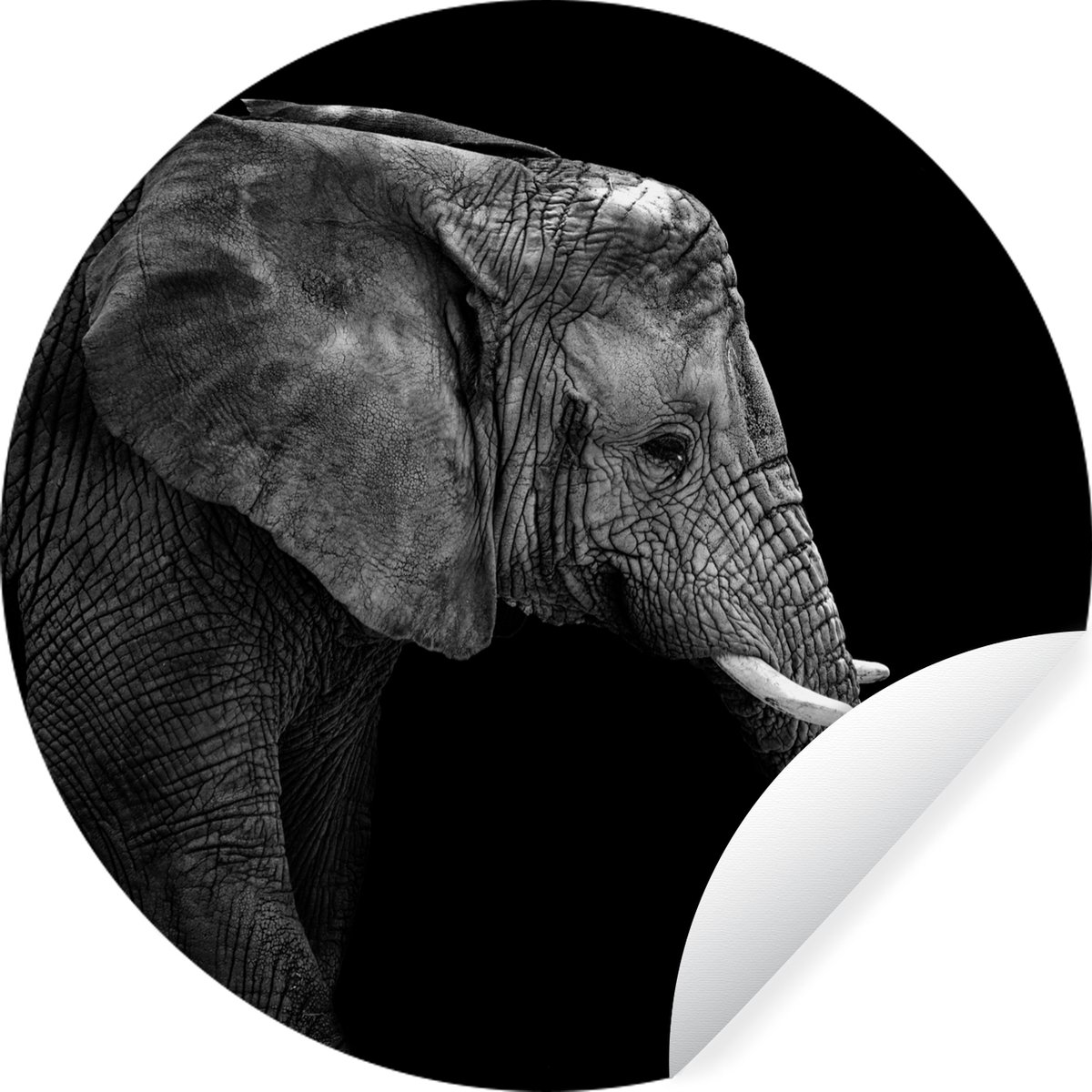 Behangcirkel - Zelfklevend behang - Olifant - Dieren - Wild - Zwart wit - 100x100 cm -... | bol.com