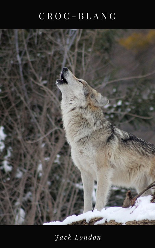 Croc-Blanc (ebook), Jack London | 9782322459230 | Boeken | bol.com