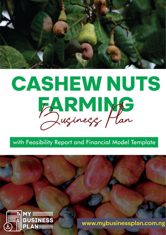 Cashew Nuts Farming Business Plan: With Feasibility Report and ...