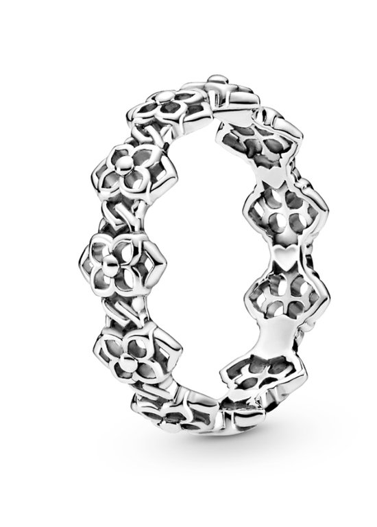 PANDORA ROSE PETALS BAND RING 199401C00 maat 56 | bol.com