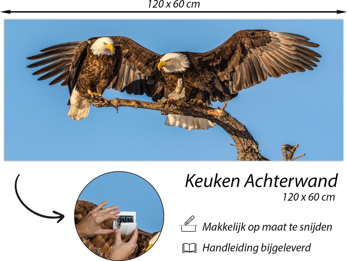 Keuken achterwand behang - Waterafstotend - Vogel - Takken - Arend ...