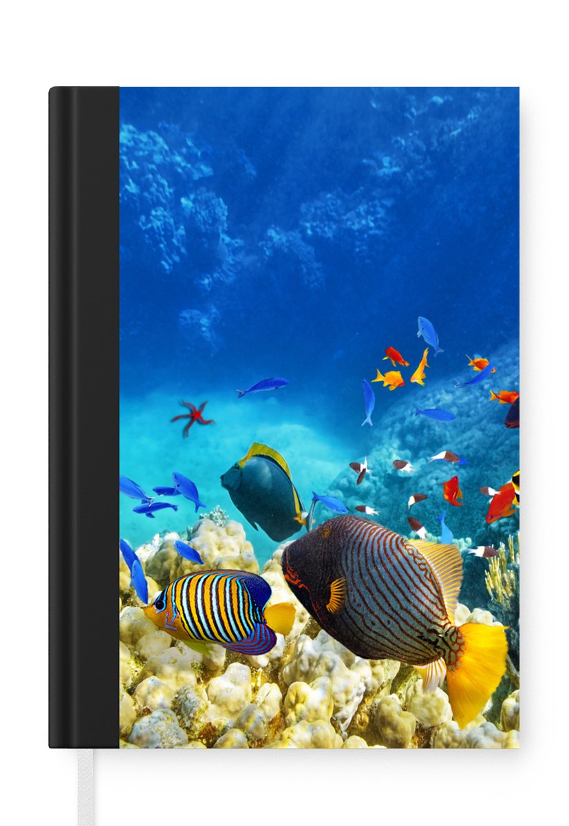 Carnet - Carnet d'écriture - Mer - Poisson - Corail - Monde sous-marin ...