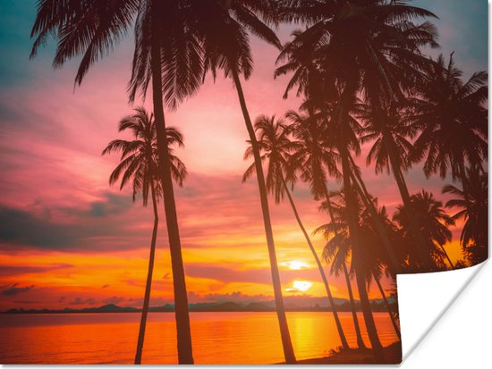 Poster Zee - Palmboom - Zonsondergang - Strand - Silhouette - 160x120 cm XXL | bol