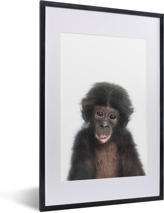 Aap - Dieren - Natuur - Chimpansee | bol.com