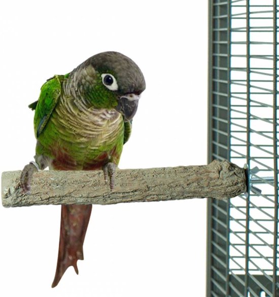 Back Zoo Nature Super Stone Perch S/M -15cm Parakeet | bol.com