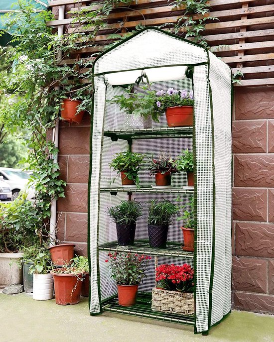 Mini-broeikas klein met 4 etages versterkte foliekas balkon ...