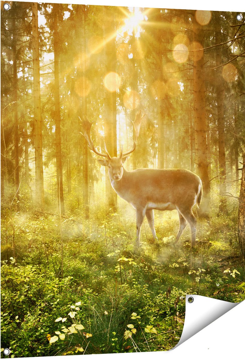 Gards Tuinposter Hert in Bos met Zon - 80x100 cm - Tuindoek ...