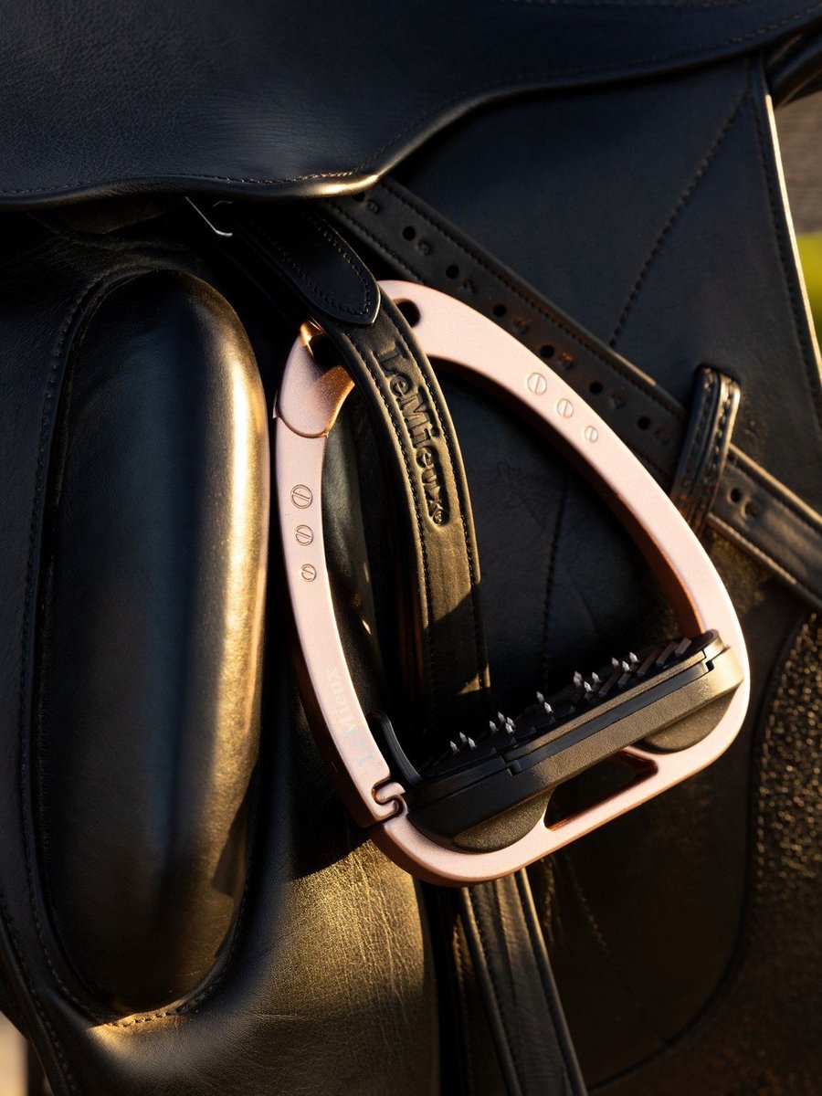 Le Mieux Vector Control Stirrup - Color : Black/Aluminium | bol.com