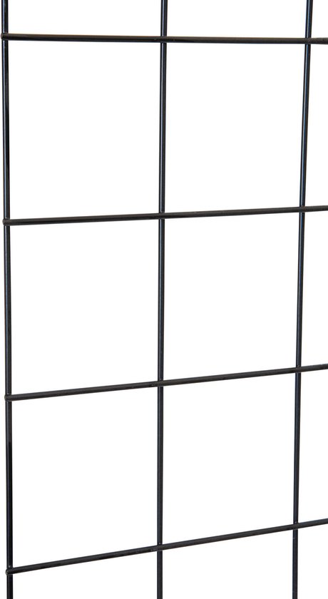 Gaaspaneel zwart gecoat, maas 15x15cm, 90x180cm. | bol