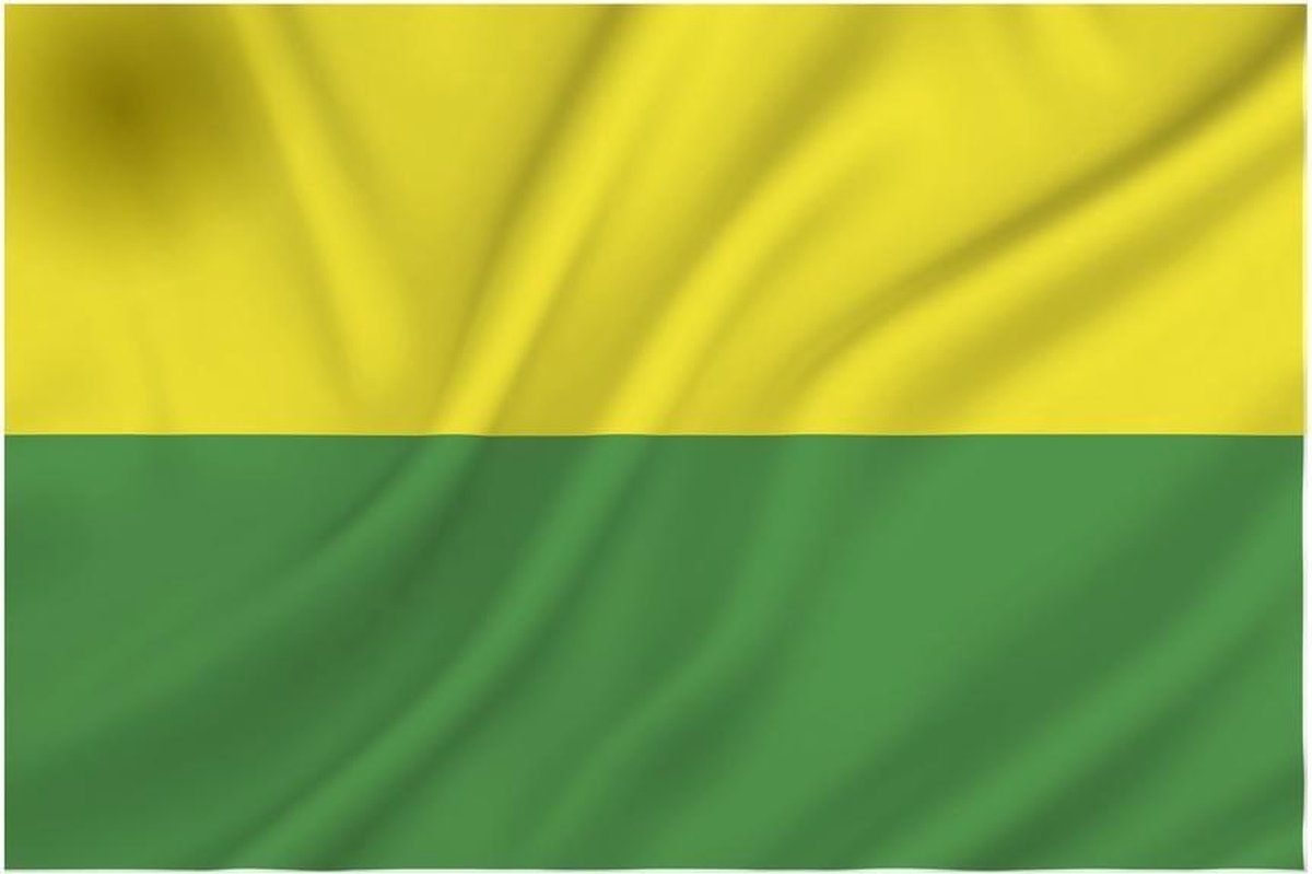 Haagse vlag, vlag van Den Haag 90 x 150 | bol