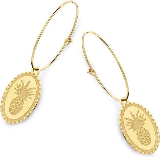 CO88 Collection Celestial 8CE 70049 Stalen Oorringen - Ovaal 25 mm ...