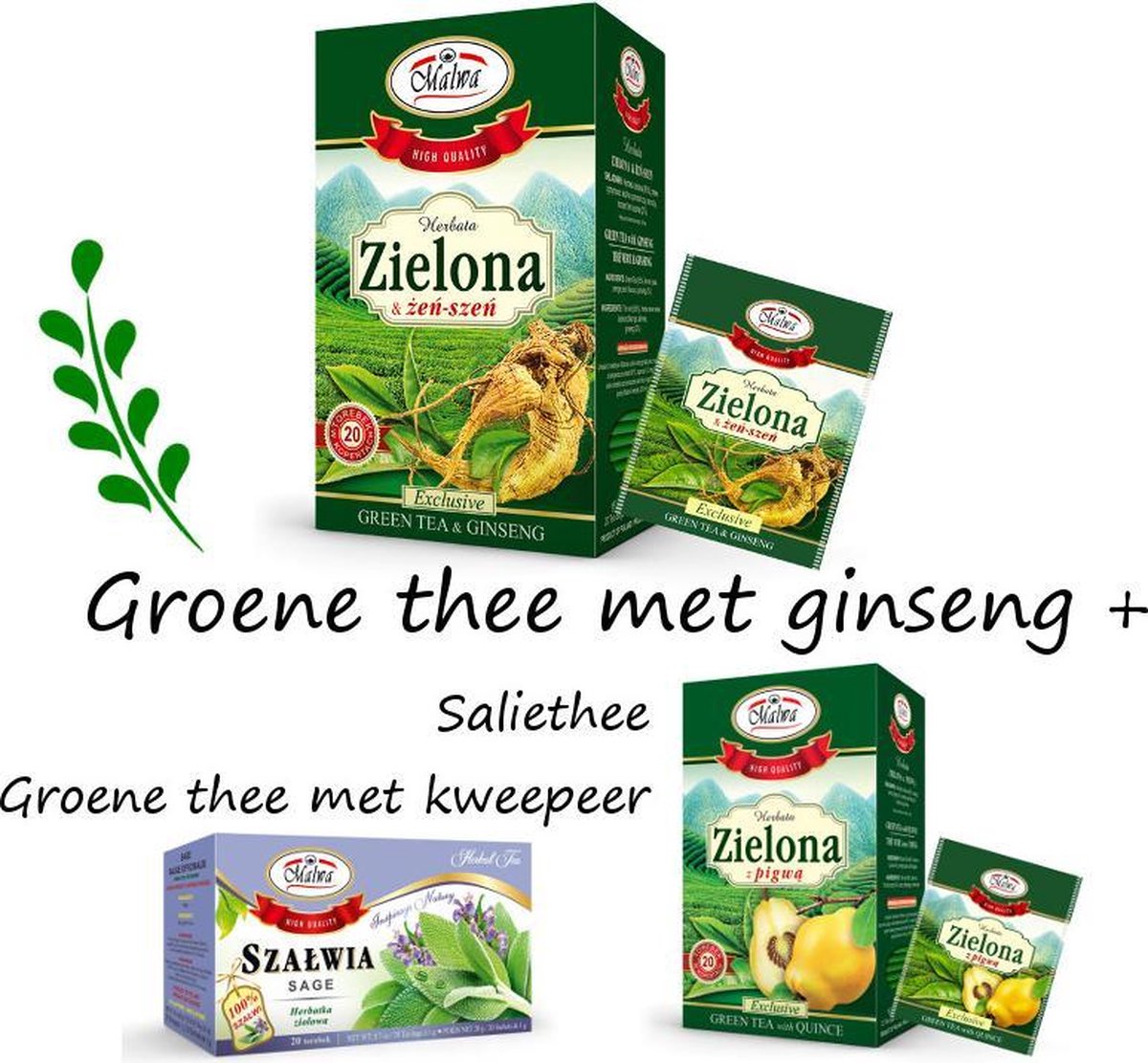 Groene thee met ginseng 20 x 1.5g | bol.com