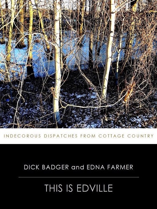 This is Edville (ebook), Dick Badger | 1230005609376 | Boeken | bol