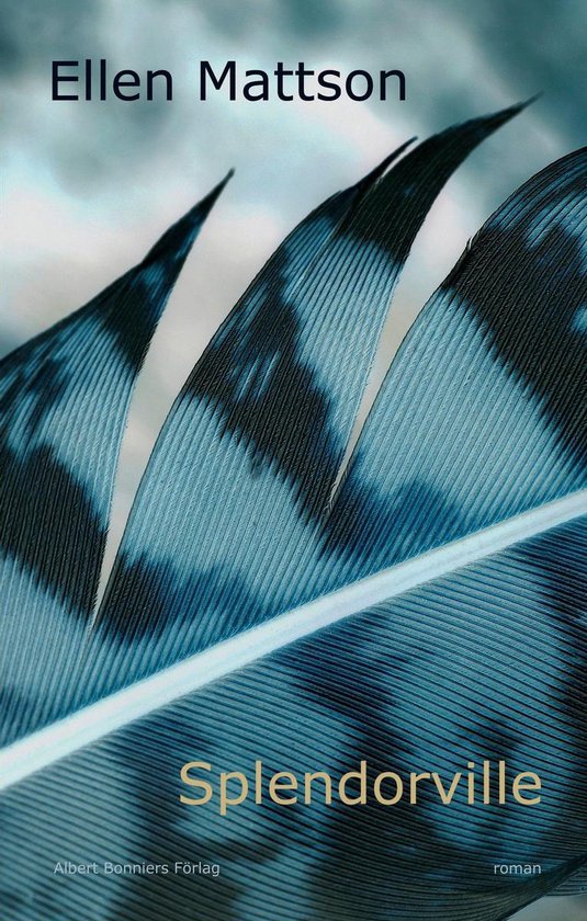 Splendorville (ebook), Ellen Mattson | 9789143505894 | Boeken | bol.com