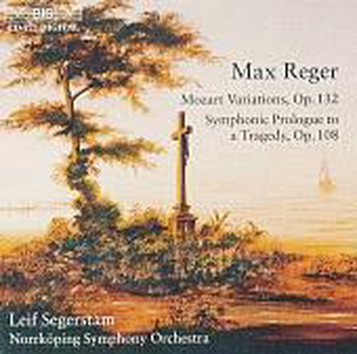 Reger: Variations & Fugue on a theme by Mozart, Leif Segerstam | CD (album) | Muziek | bol.com