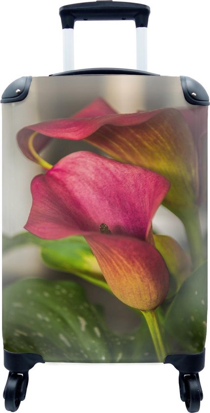 Valise - Fleurs de Lys Calla Roses au Printemps - 35x55x20 cm - Bagage ...