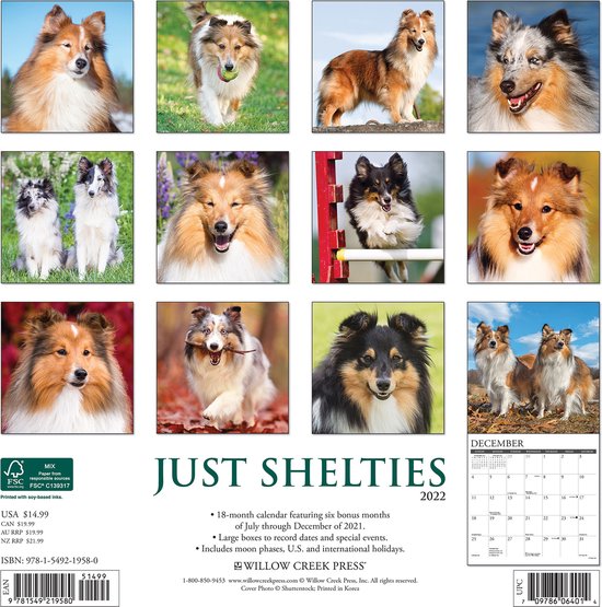 Sheltie- Shetland Sheepdog Kalender 2022 | bol.com
