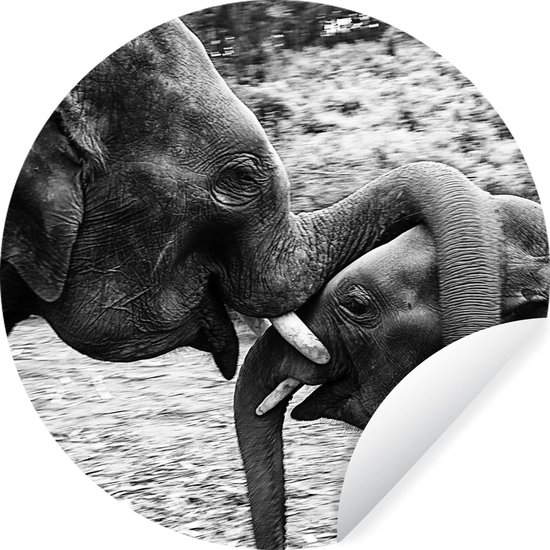 WallCircle - Muurstickers - Behangcirkel - Olifant - Dieren - Natuur - Zwart wit -... | bol.com