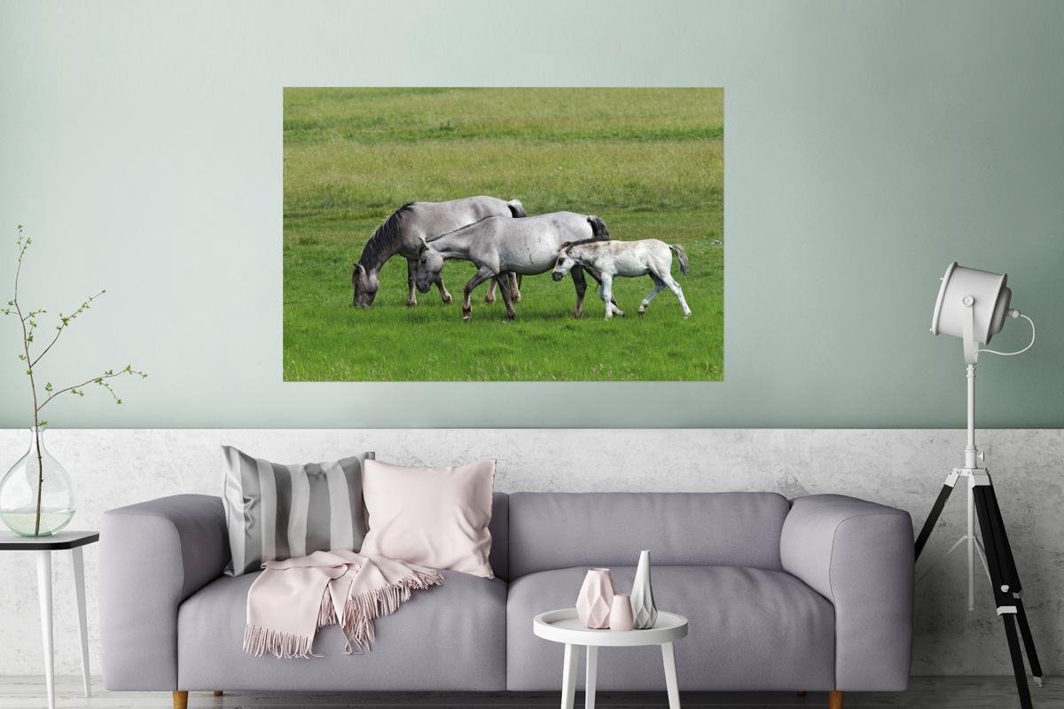 Poster Paarden - Dieren - Gras - 120x80 cm | bol.com
